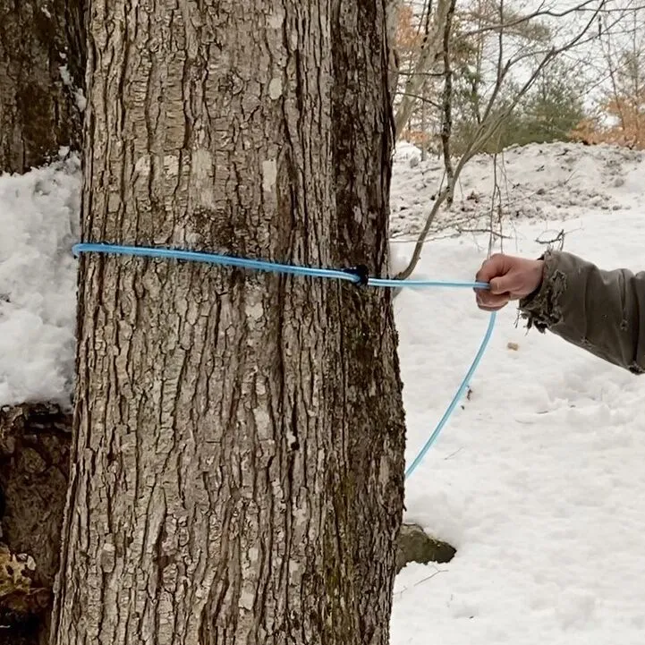 How to Run Lines for Maple Syrup - Vermont Evaporator Company