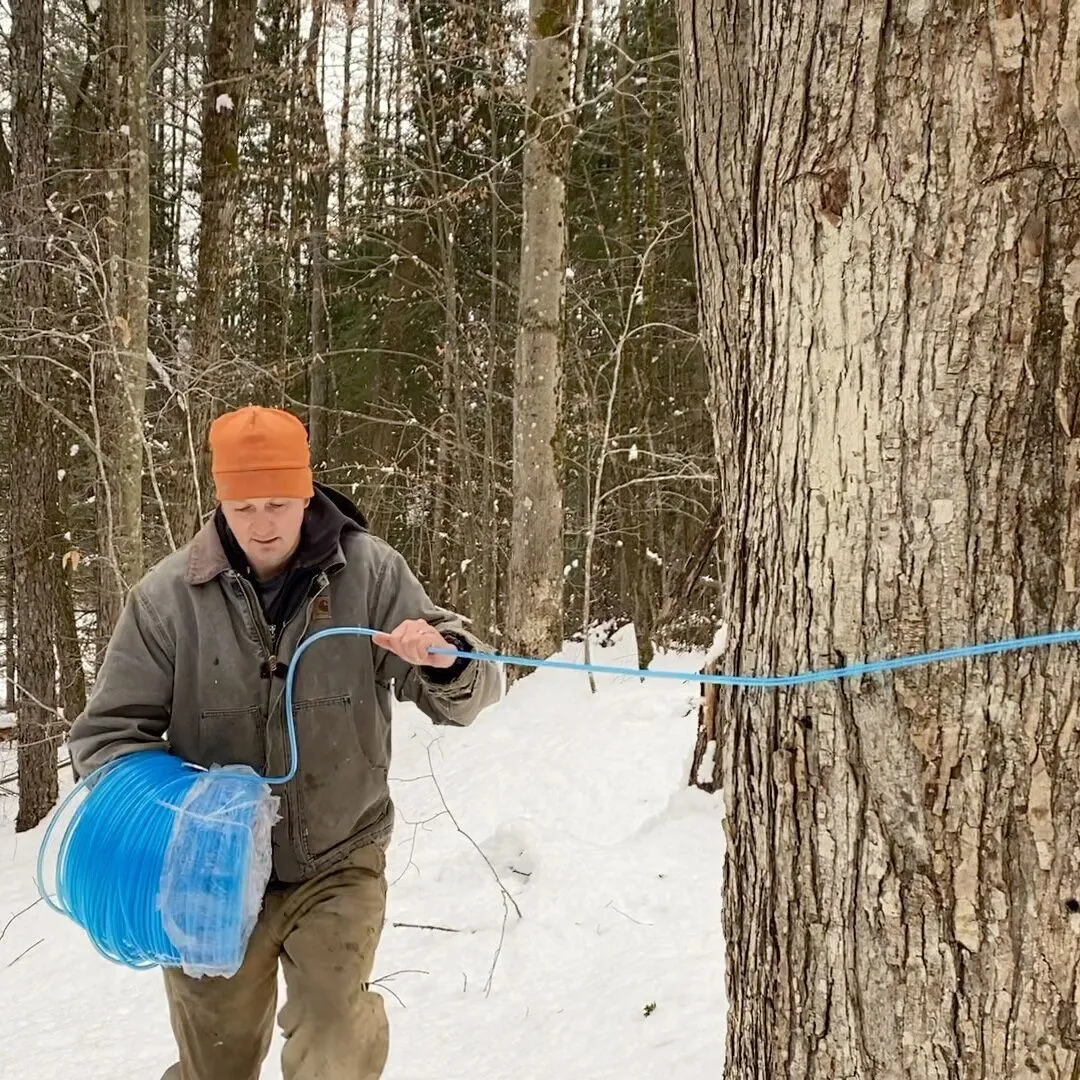 How to Run Lines for Maple Syrup - Vermont Evaporator Company